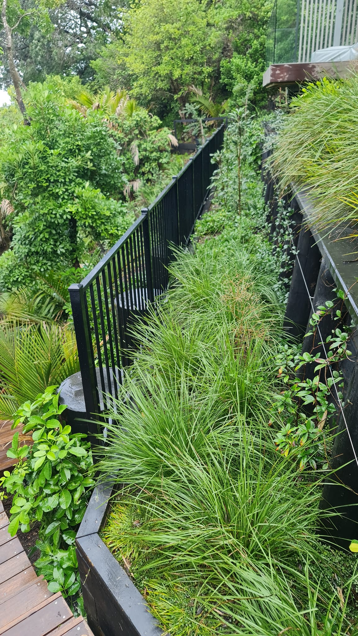 Pool Fencing Auckland 0630 | Swimming Pool Fence in New Zealand