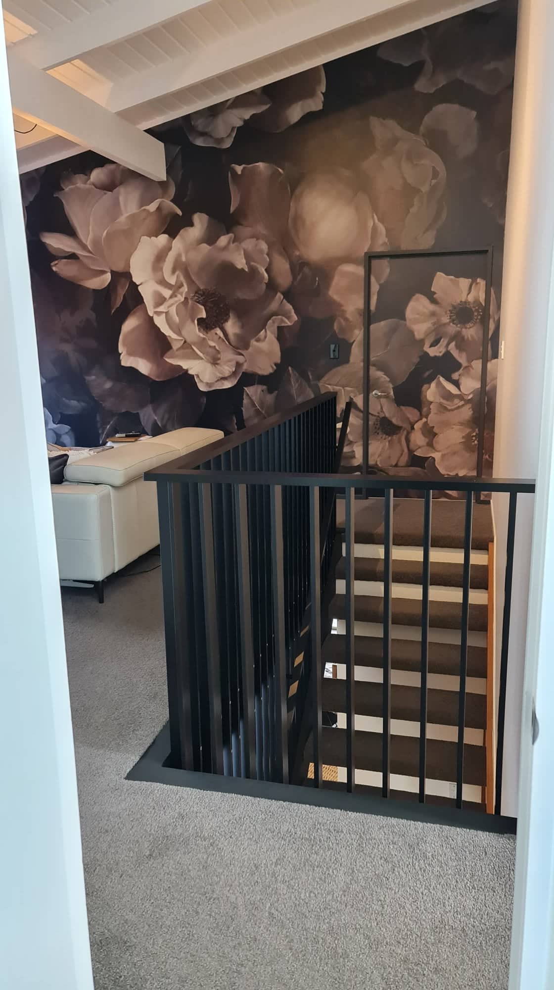 Wire Balustrades Auckland NZ | Pioneer Fabrication